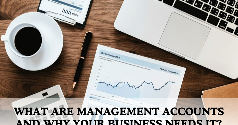 What Are Management Accounts and Why You Need It? | Accountancy Cloud