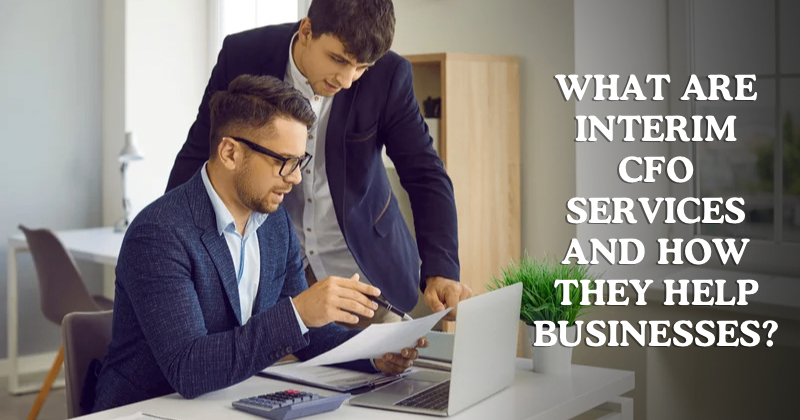 What Are Interim CFO Services and How They Help… | Accountancy Cloud